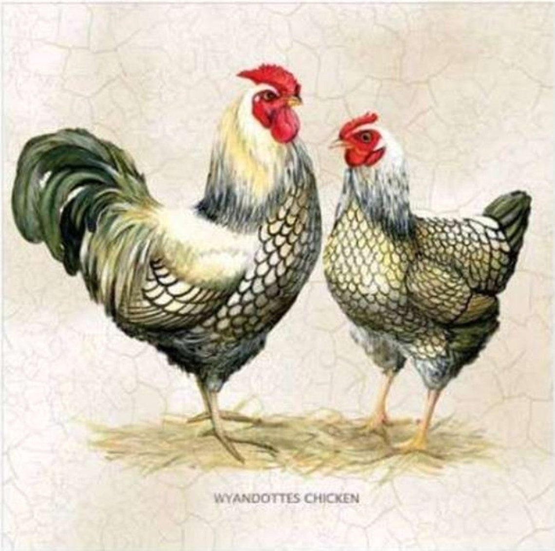 Decoupage Napkins - Chicken Couple Paper Napkins - Set of 3 - Luncheon ...