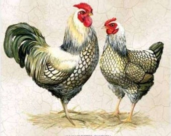 Decoupage Napkins- Chicken Rooster Gardening Friends Paper Napkins ...