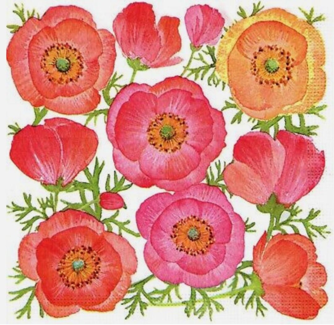 Decoupage Paper Napkins - Poppy Paper Napkins - Set of 3 - Cocktail ...
