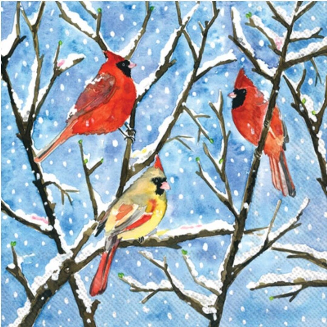 Decoupage Napkins Christmas Cardinal Birds Paper Napkins Set of 3 ...