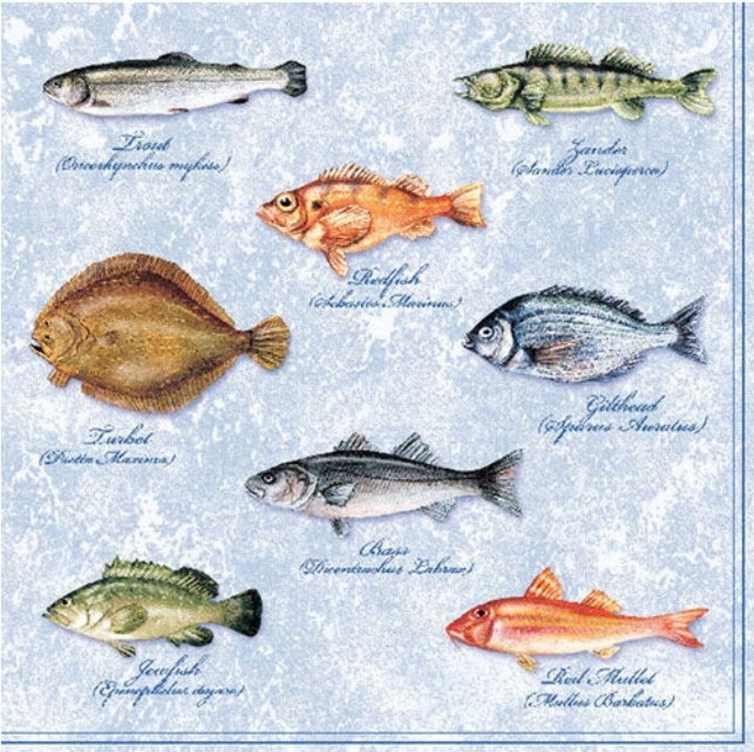 Decoupage Napkins Fish Paper Napkins Set of 3 Luncheon Size - Etsy