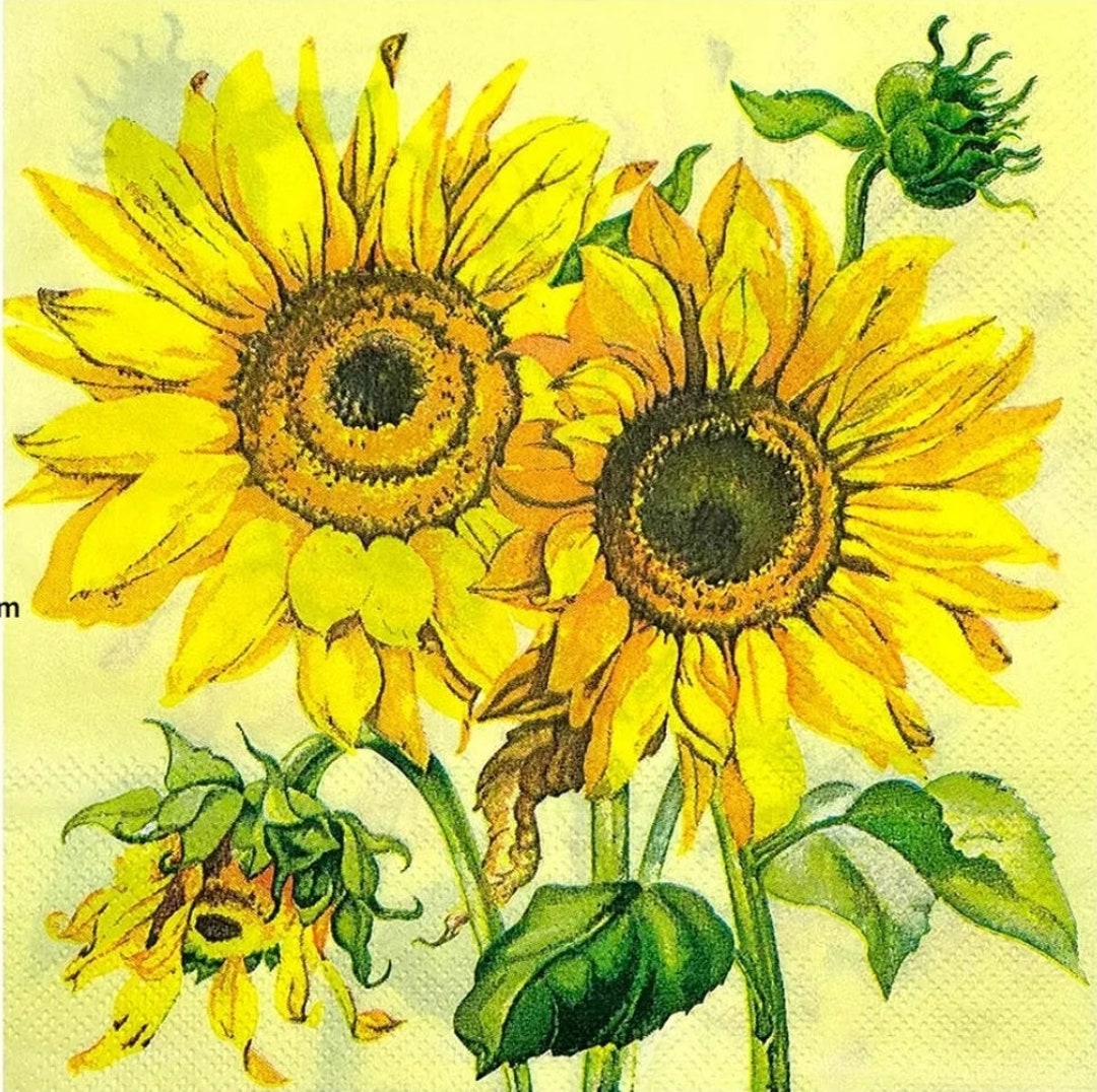 Decoupage Napkins- Sunflower Paper Napkins- Set of 3 - Luncheon Size - Etsy