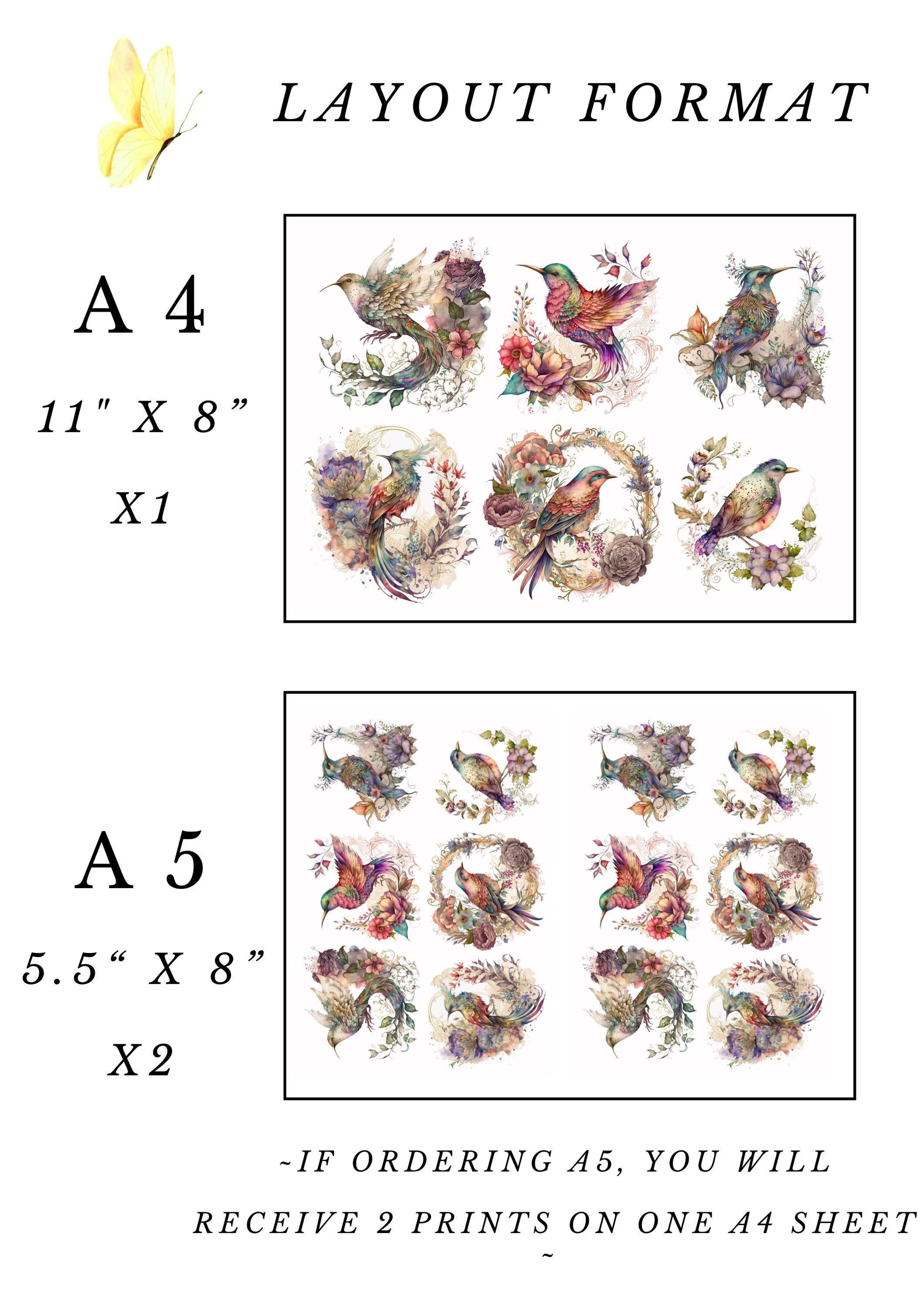 Rice Paper for Decoupage / Hummingbird Birds / 1 Rice Paper / A4 / A5 ...