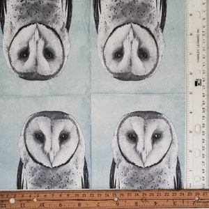 Decoupage Napkins Owl Paper Napkins Set of 3 Cocktail Size - Etsy
