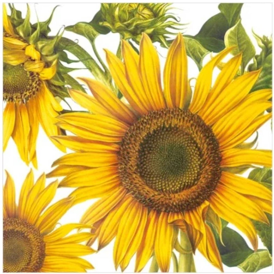 Decoupage Napkins- Sunflower Paper Napkins- Set of 3- Cocktail Size - Etsy
