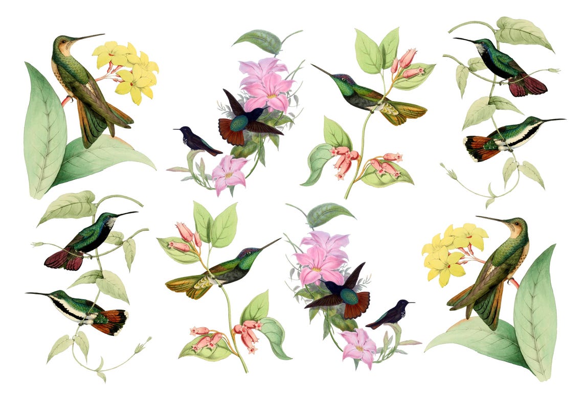 Rice Paper for Decoupage / Vintage Hummingbird Hummingbirds / 1 Rice ...