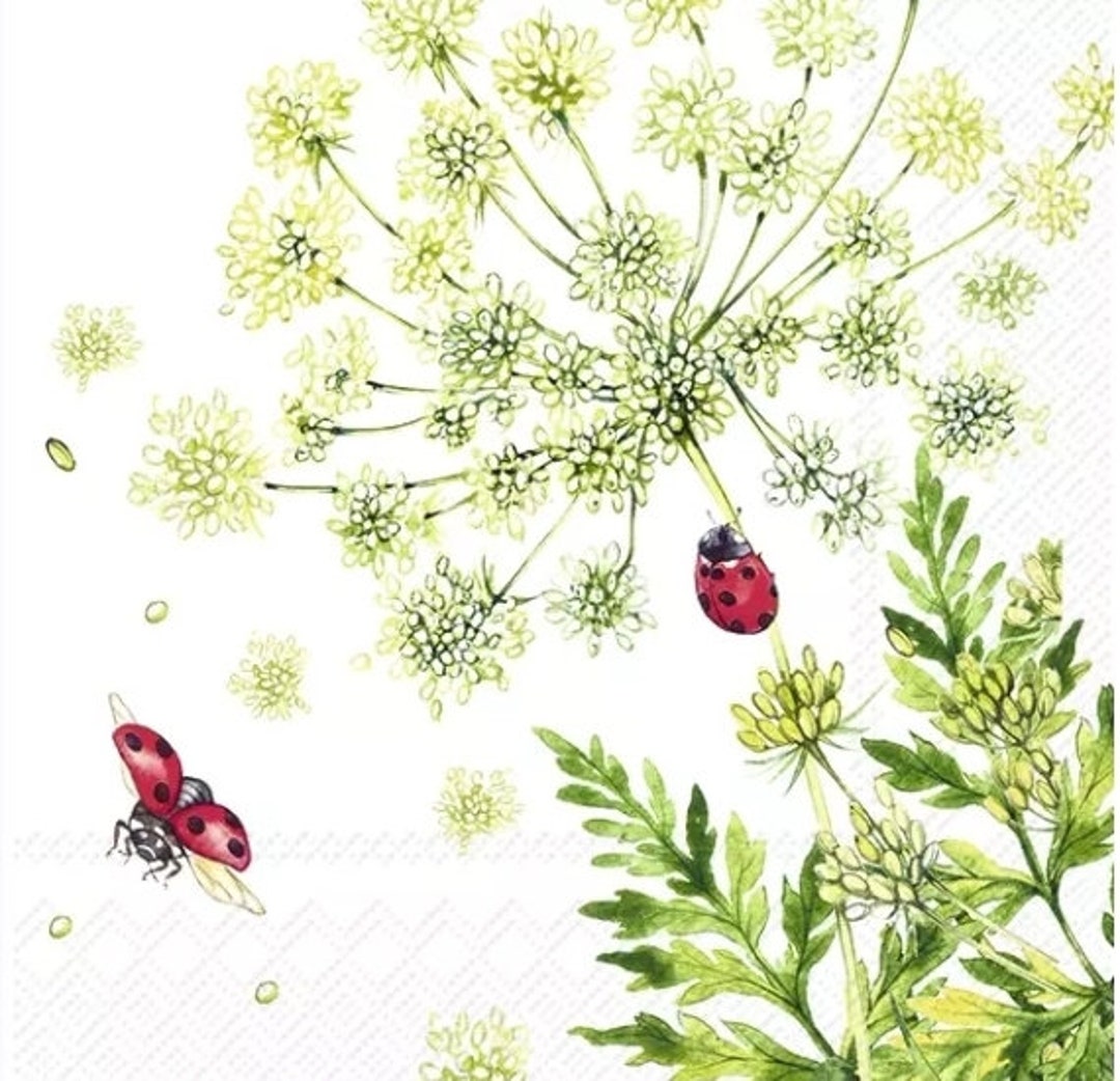Decoupage Napkins- Ladybug on Flowers Paper Napkins- Set of 3- Cocktail ...
