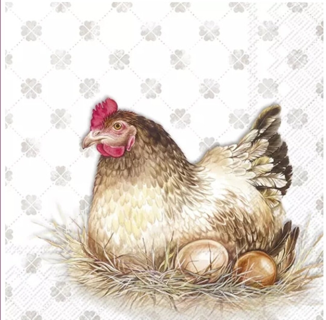 Decoupage Napkins - Chicken Hen Eggs Paper Napkins - Set of 3- Cocktail ...