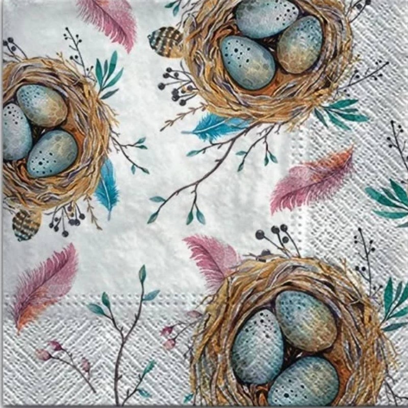 Bird Nest Eggs Napkin - Etsy