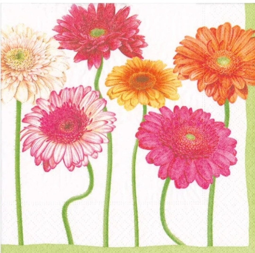 Decoupage Napkins Gerber Daisy Flower Paper Napkins Set of 3 Cocktail ...