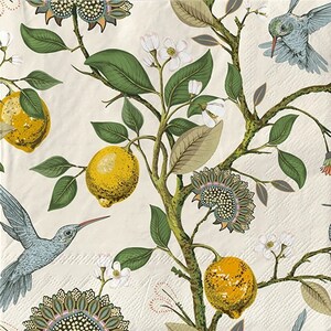 Decoupage Napkins Hummingbird & Lemon Paper Napkins Set of 3 Luncheon ...