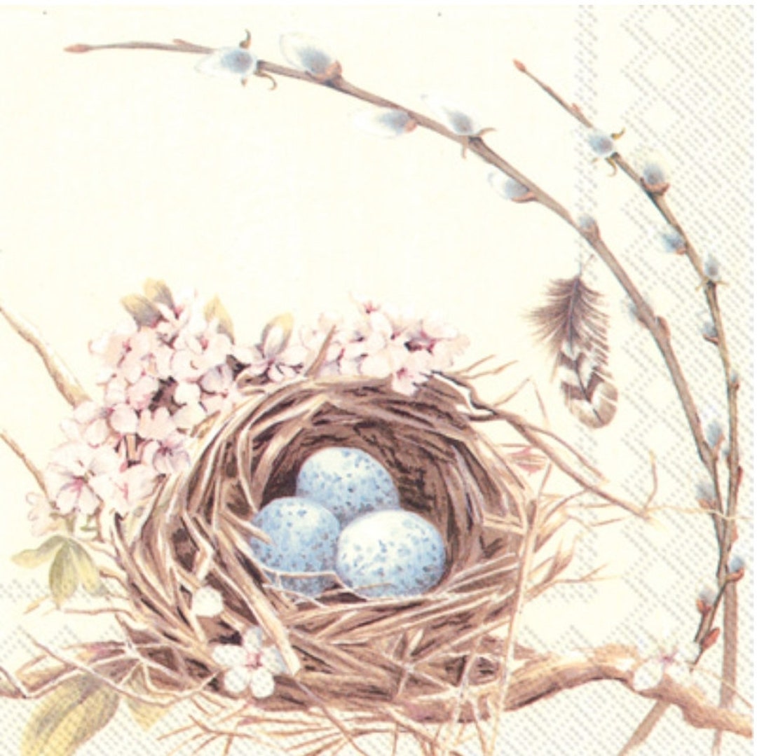 Decoupage Napkins - Bird Nest Egg Paper Napkins- Set of 3- Cocktail ...