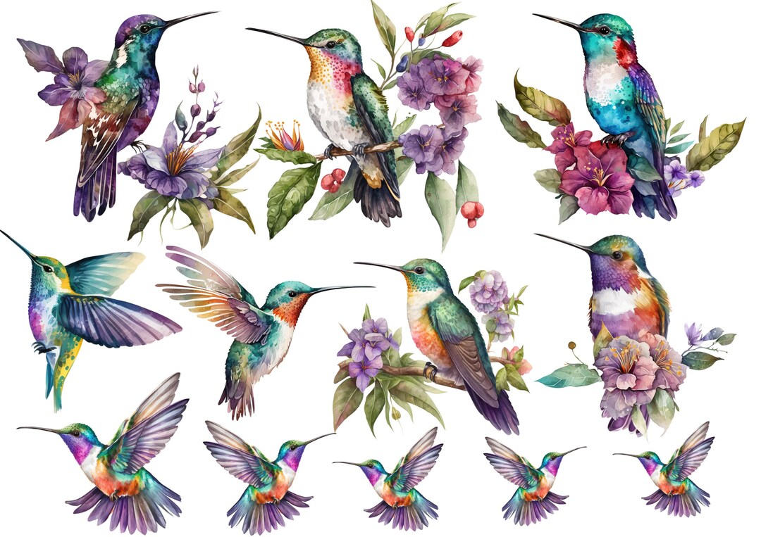 Rice Paper for Decoupage / Hummingbird / 1 Rice Paper / A4 ...