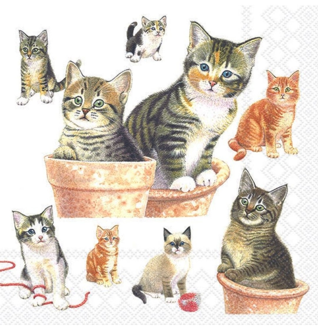 Decoupage Napkins Cat Paper Napkins Set of 3 Luncheon Size - Etsy