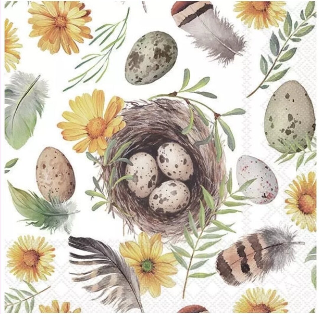 Decoupage Paper Napkins - Bird Nest Egg Feather Paper Napkins- Set of 3 ...