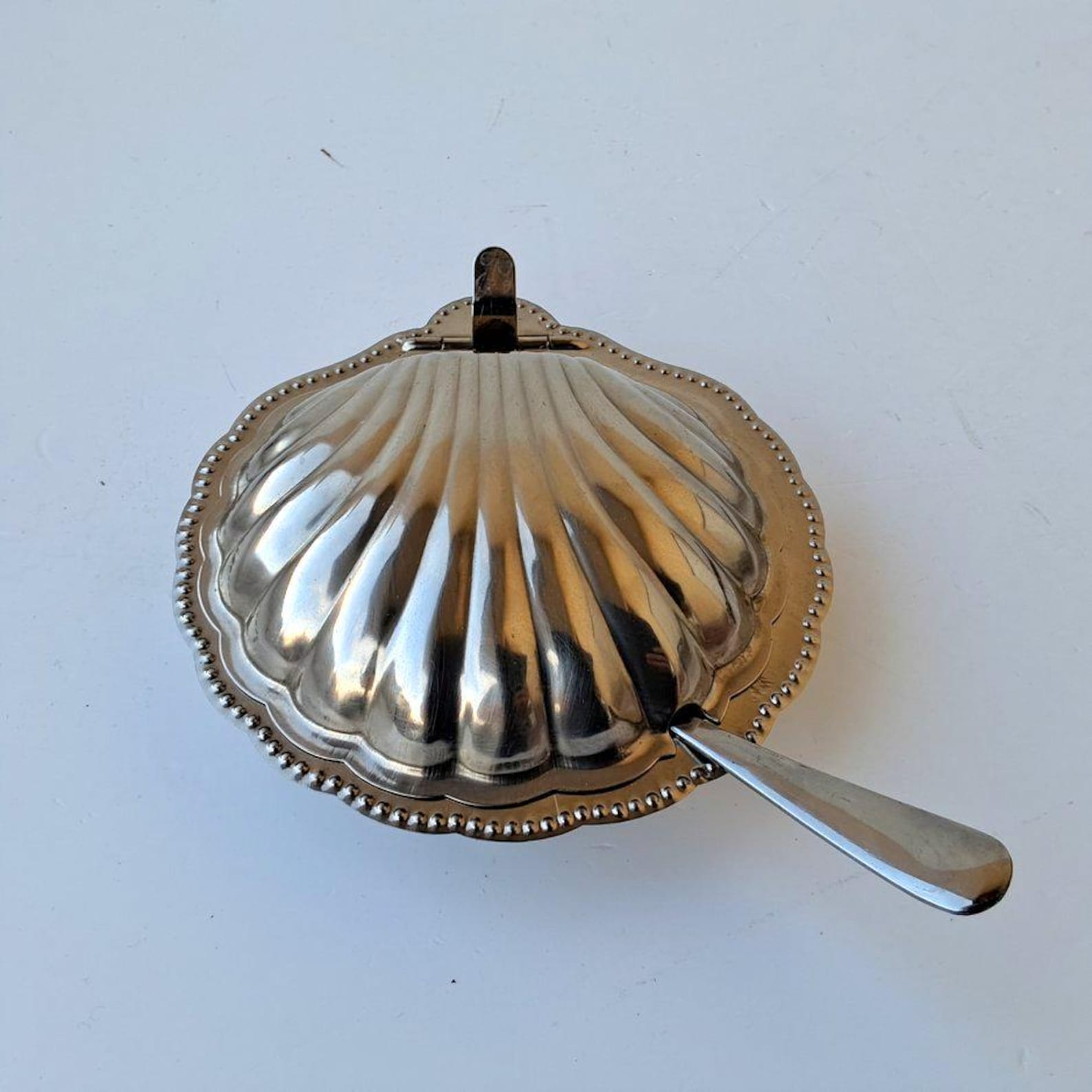 Antique Italian Serve Caviar, Bowl Dish, Shell Shaped Dish, Shell ...
