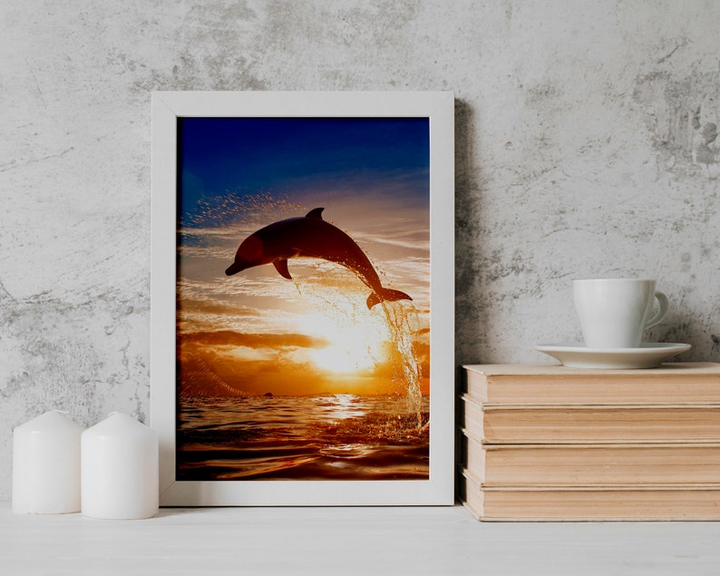 Dolphin Jumping Out of Water Poster Sunset Sunshine Sea Sunrise Photo ...