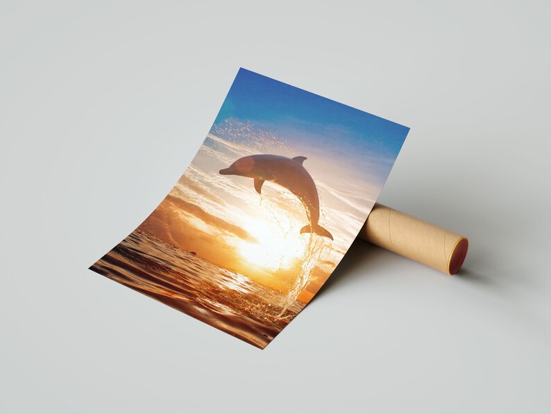 Dolphin Jumping Out of Water Poster Sunset Sunshine Sea Sunrise Photo ...