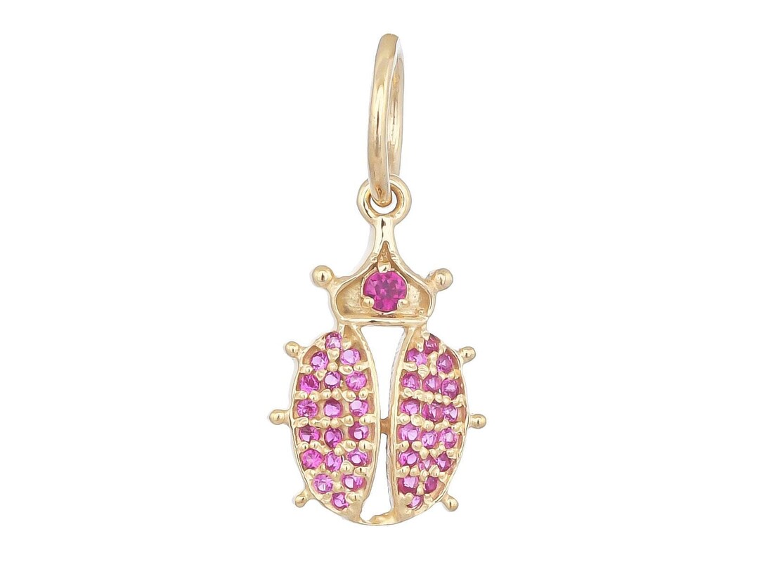 14k Solid Gold & Ruby Beetle Pendant, (14K-DP-190) - Etsy