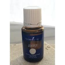 Juniper Essential Oil by Young Living - Etsy