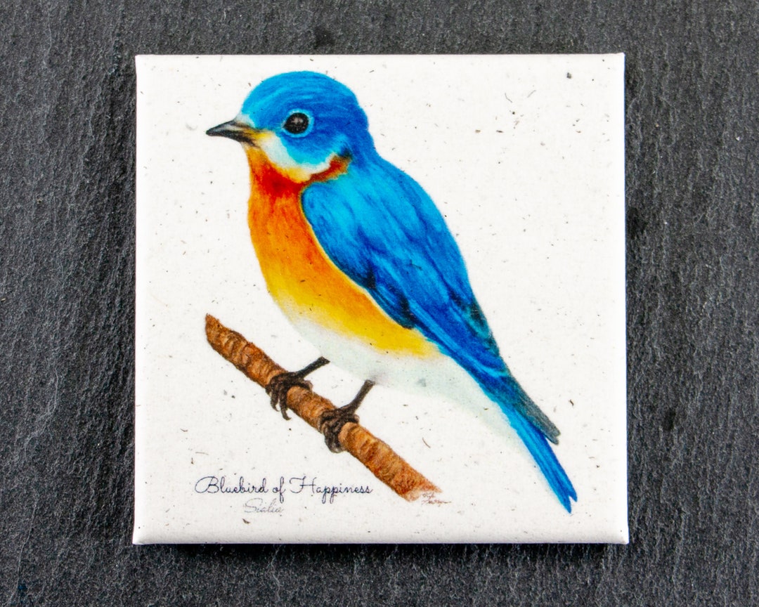 Eastern Bluebird of Happiness 2 Magnet Square Original - Etsy UK