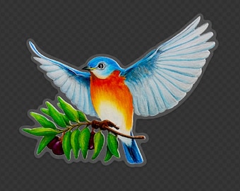 Eastern Bluebird Original Illustration Sticker - Etsy