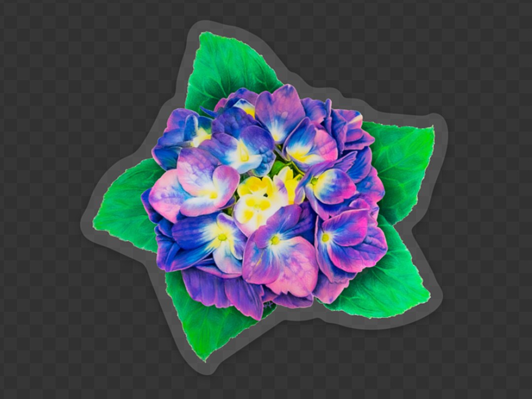 Hydrangea Flower Sticker Decal Original Art Sticker Purple - Etsy