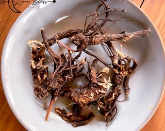 Bear Root - Etsy
