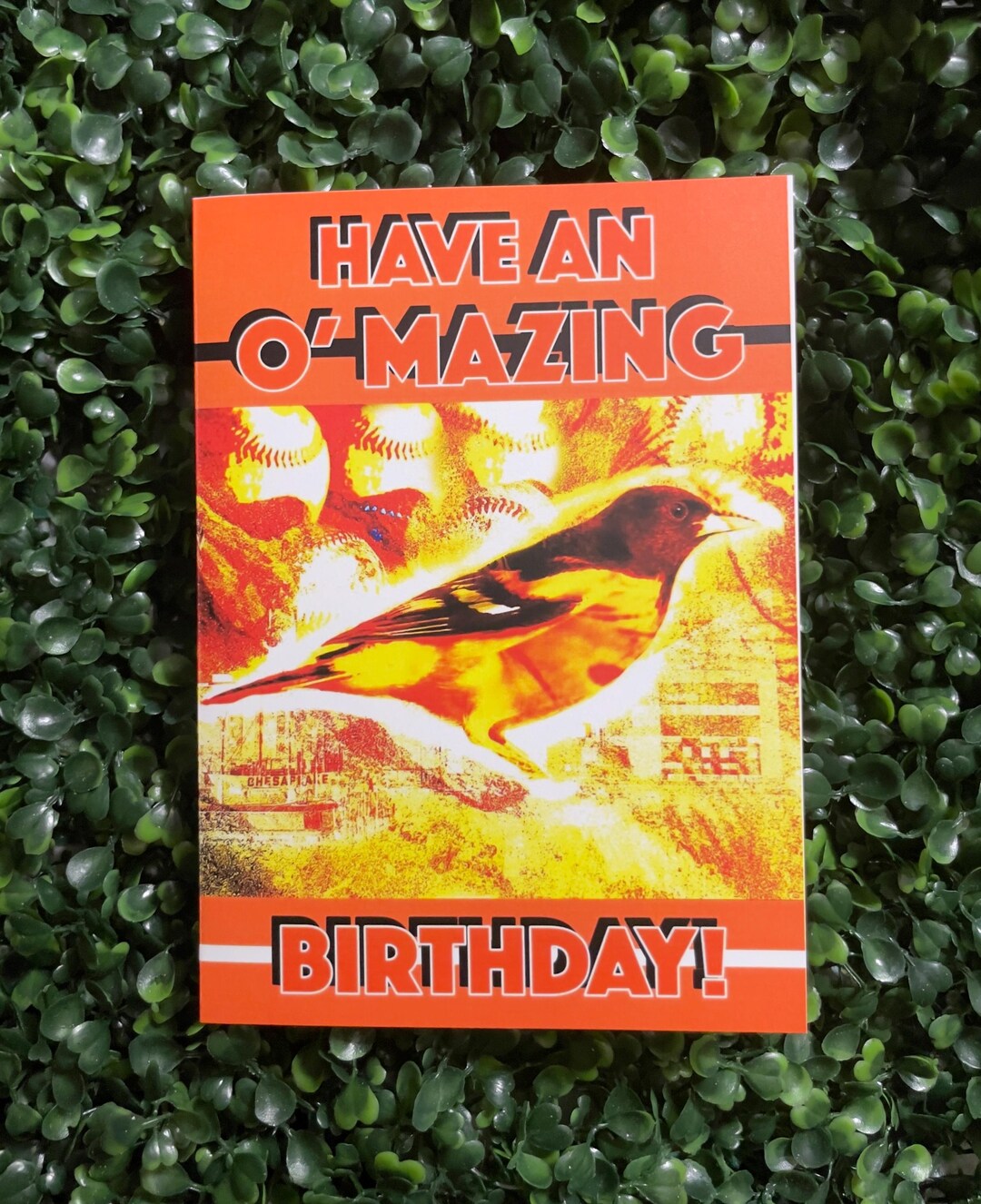 Baltimore Baseball Birthday Card: Oriole Bird Art - Etsy