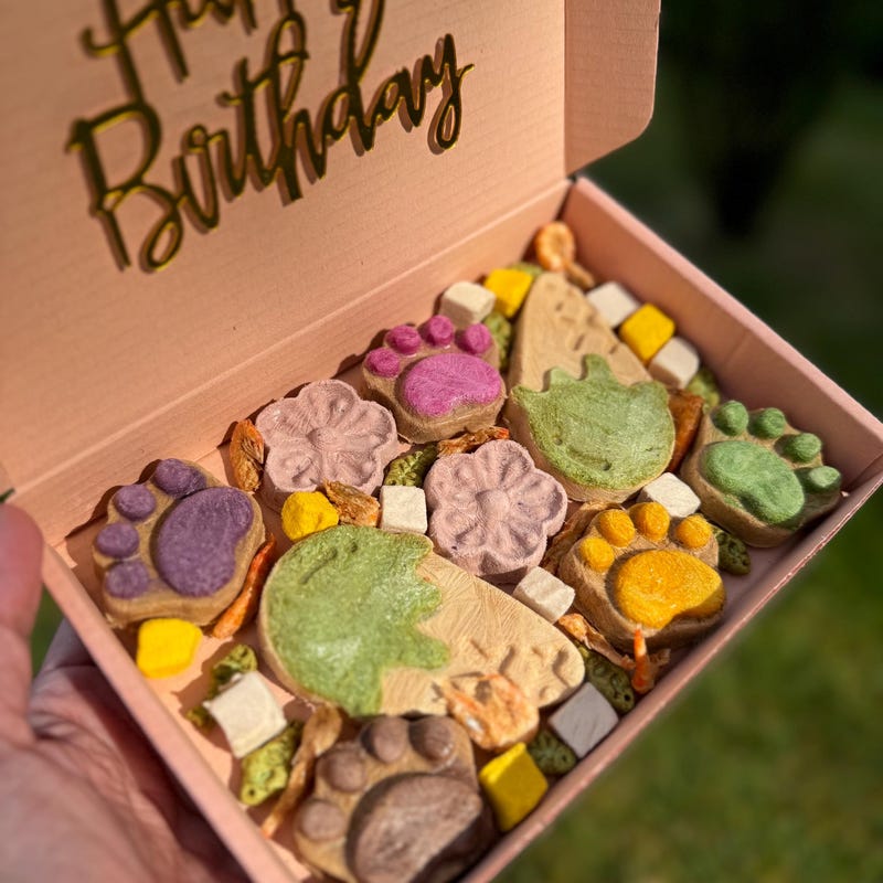 Cat Birthday Collar Pack - Etsy