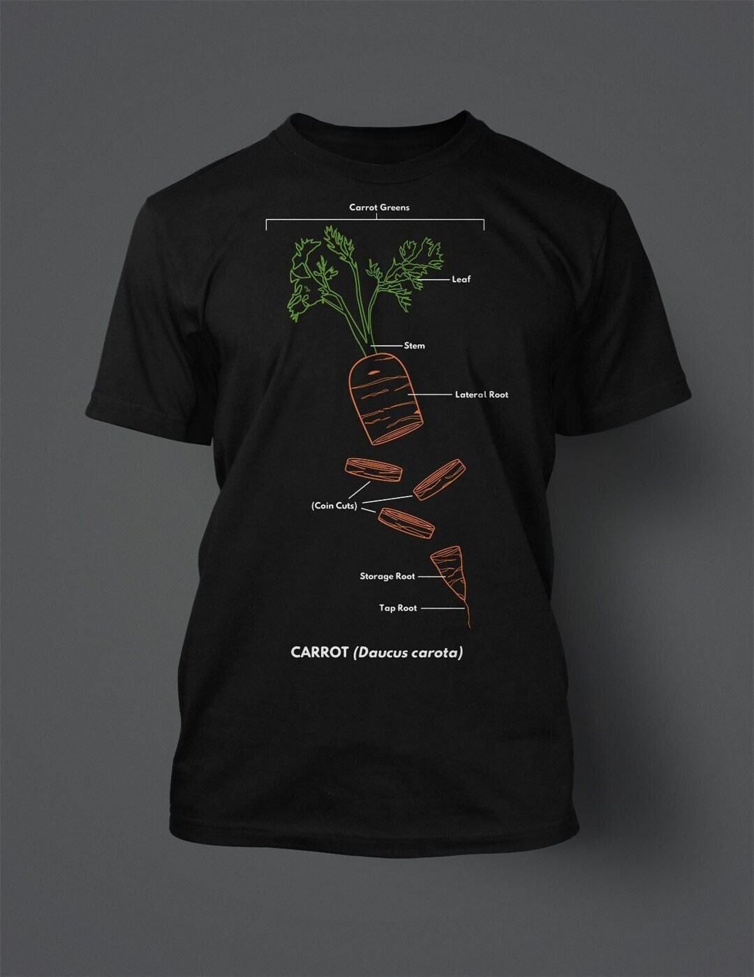 Carrot Anatomy Tee - Etsy