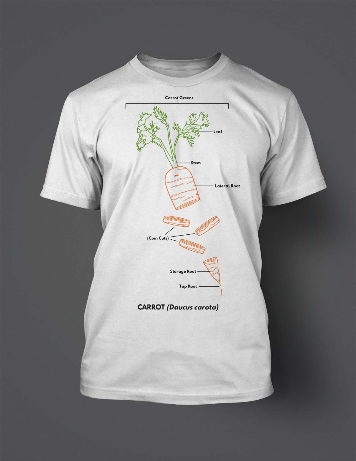 Carrot Anatomy Tee - Etsy