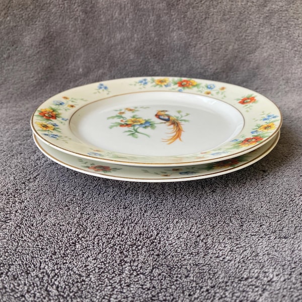 Antique Selb Plate - Etsy
