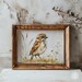 Sparrow Bird Print Vintage Bird Portrait Watercolor Painting Printable ...