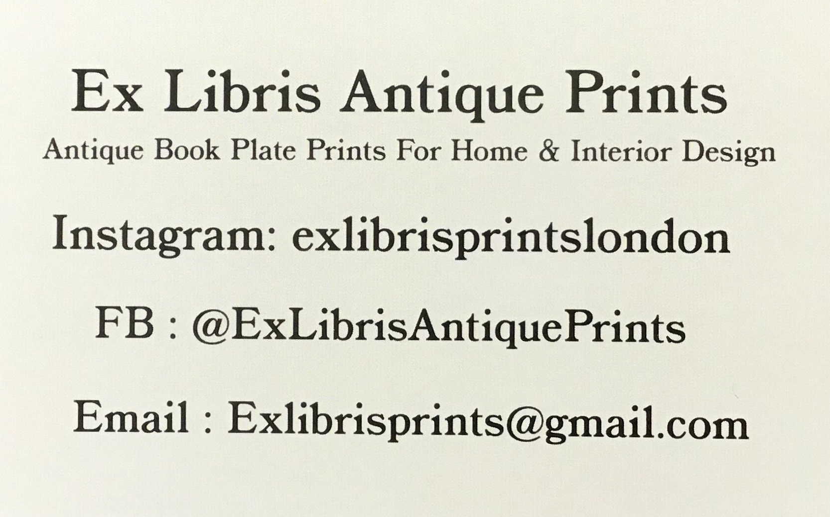 Vintage Cow Print Old Print From 1896 Original Lithograph - Etsy