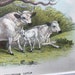 Vintage Cow Print Old Print From 1896 Original Lithograph - Etsy