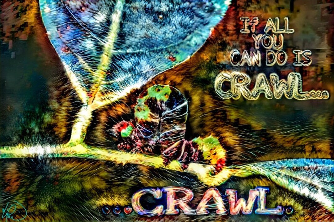 Crawl Inchworm Canvas Art Metal Art Nature Caterpillar Bright Bold ...