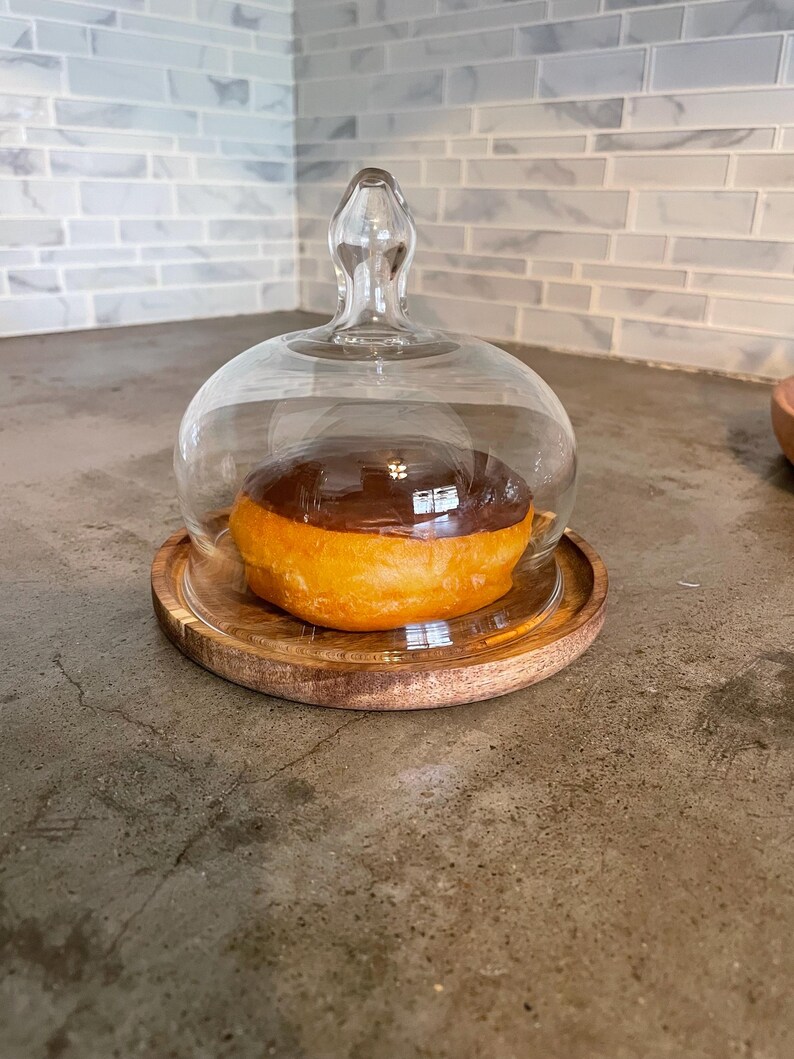 Glass Dome - Etsy