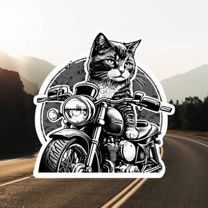 Motorcycle Helmet Sticker Cat on Motorcycle Sticker Gift for Cat Lovers ...