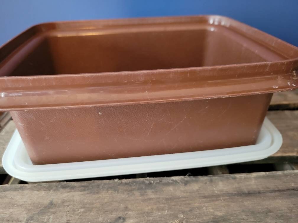 Vintage Tupperware Lunch Box Storage Container With Lid FREE - Etsy