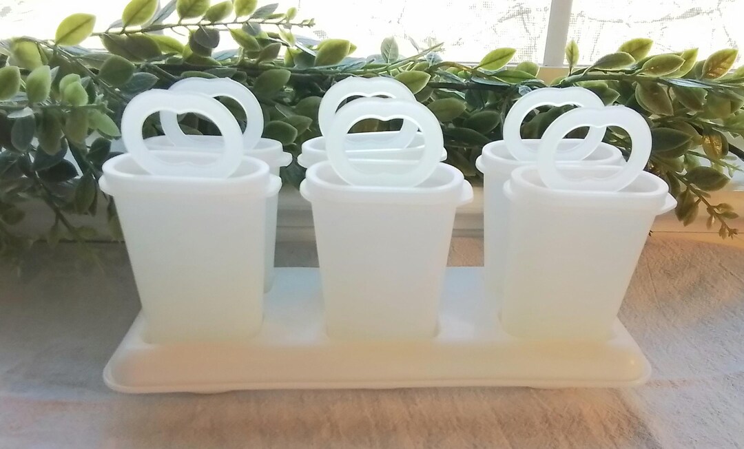 Vintage Tupperware Homemade Popsicle Making 70's and 80's Tupperware ...