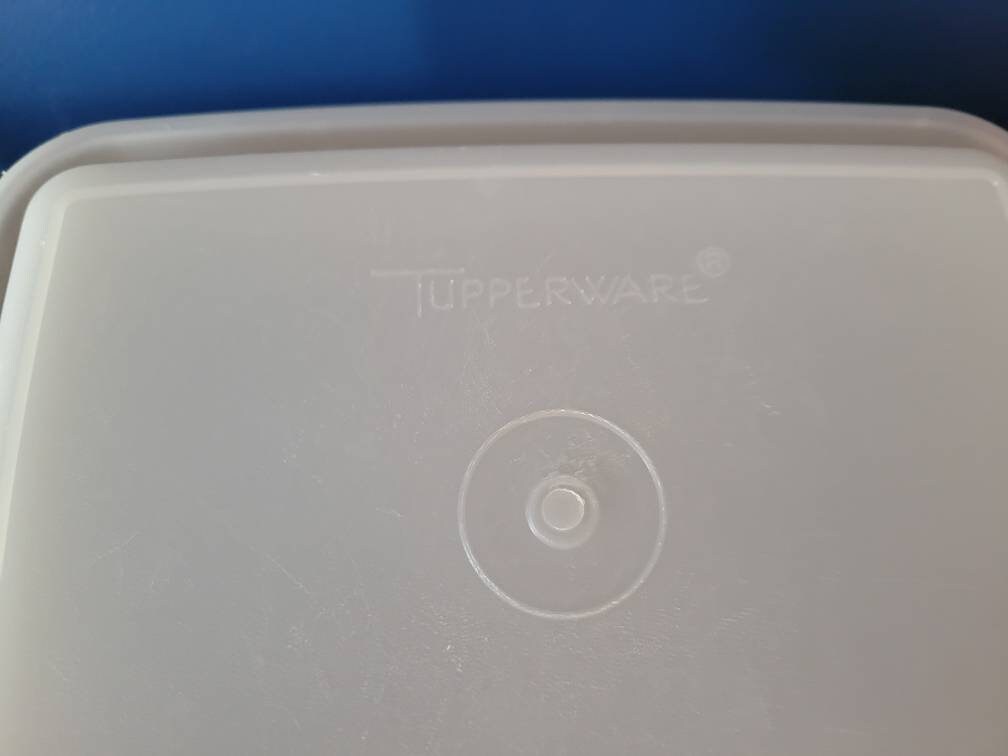 Vintage Tupperware Lunch Box Storage Container With Lid FREE - Etsy