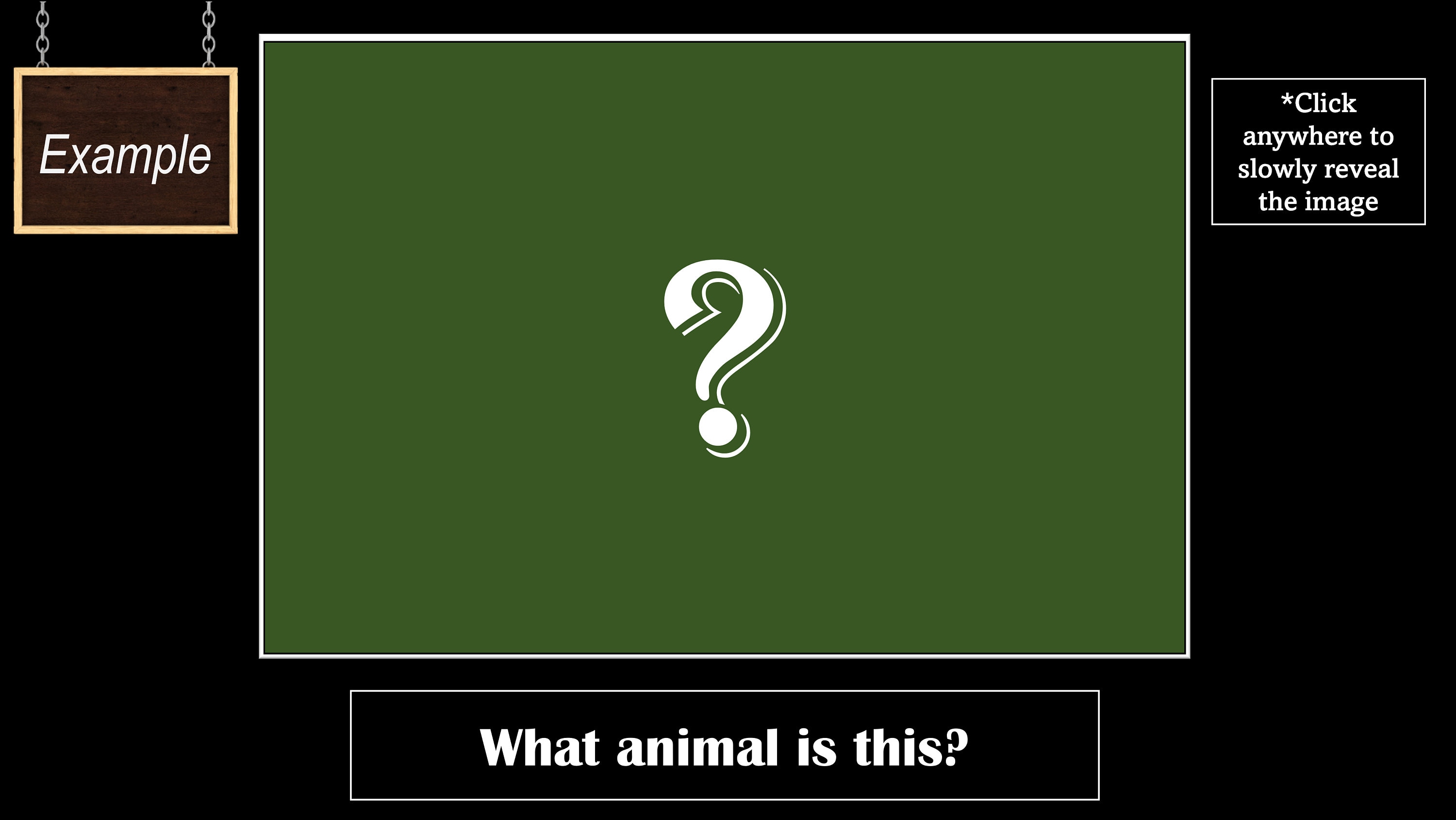 Revealing Images: Land Animals Powerpoint Game Virtual Zoom Family and ...