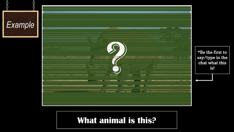 Revealing Images: Land Animals Powerpoint Game Virtual Zoom Family and ...