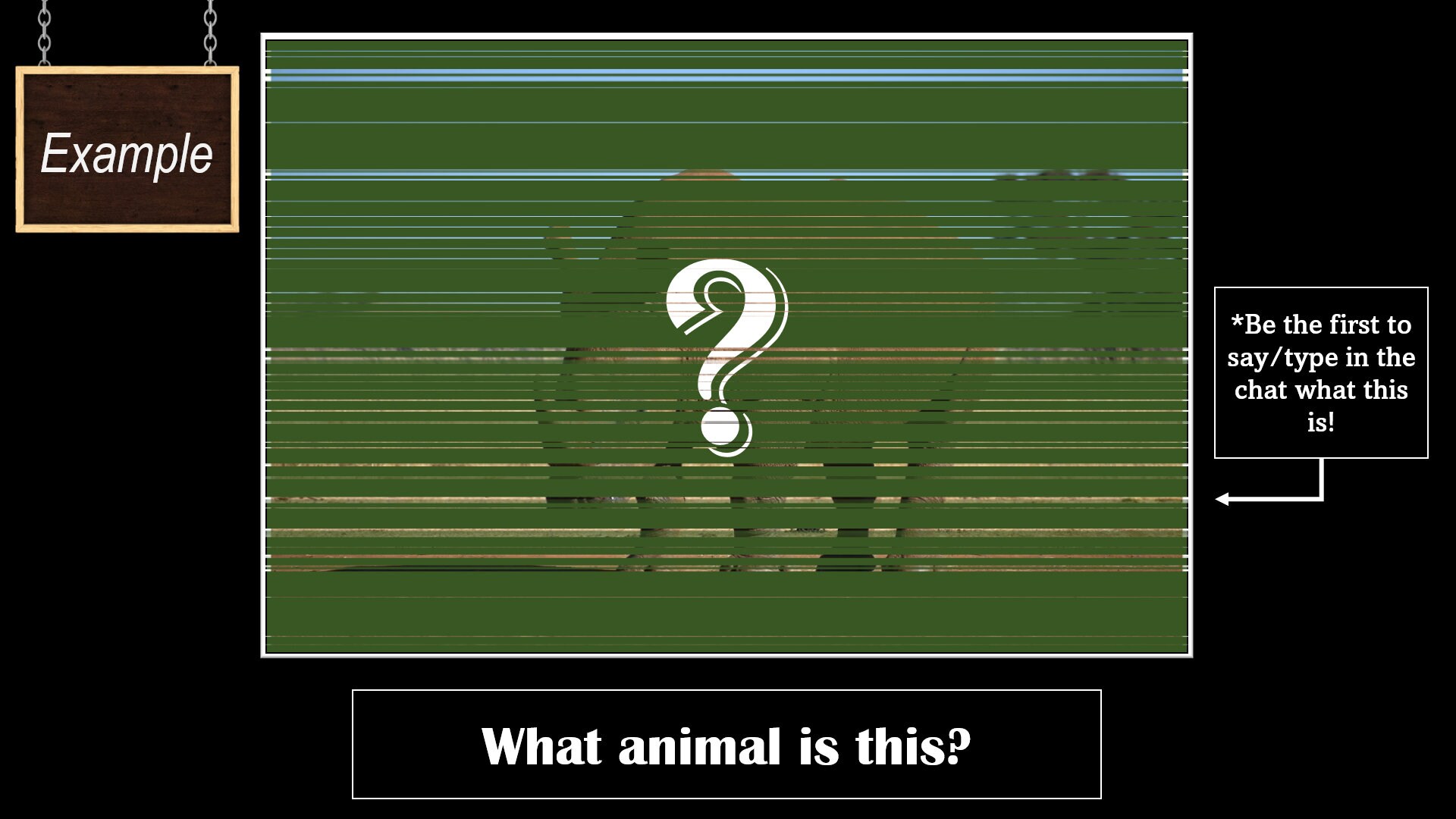 Revealing Images: Land Animals Powerpoint Game Virtual Zoom Family and ...