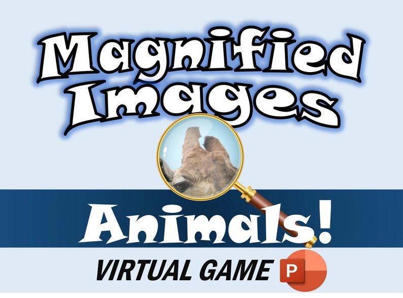 Zoom Game - Magnified Images: Animals - Virtual Power Point Game Great ...