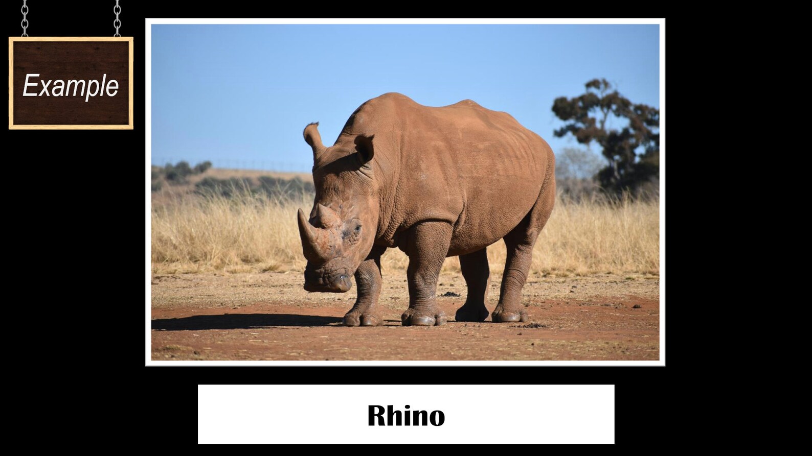 Revealing Images: Land Animals - Powerpoint Game - Virtual Zoom Family ...