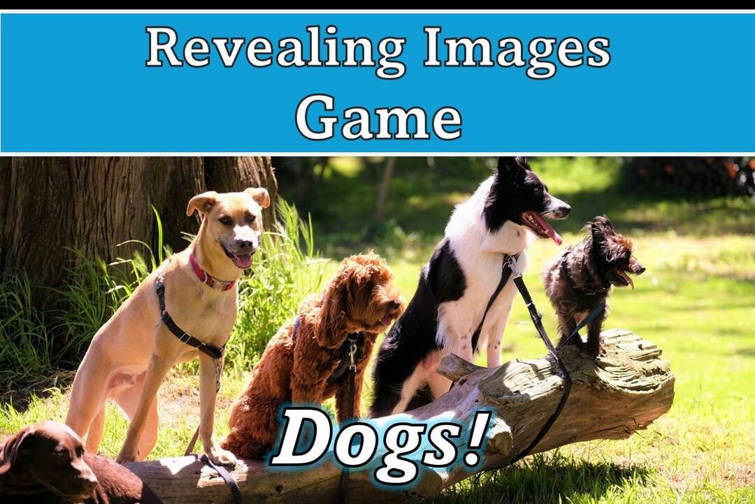 Revealing Images: Dogs - Zoom Game - Virtual Powerpoint Family and ...