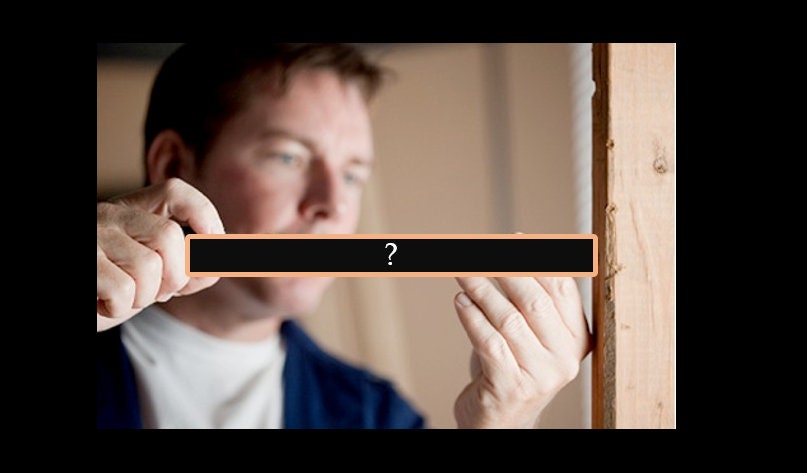 Hidden Images: Objects Zoom Game Virtual Powerpoint Family - Etsy Canada