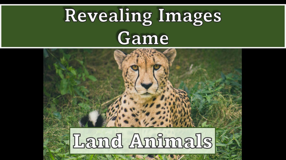 Revealing Images: Land Animals - Powerpoint Game - Virtual Zoom Family ...